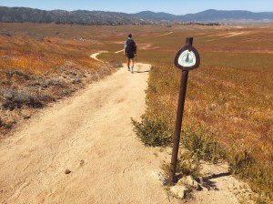 PEAKED CURIOSITY | inspired by higher ground