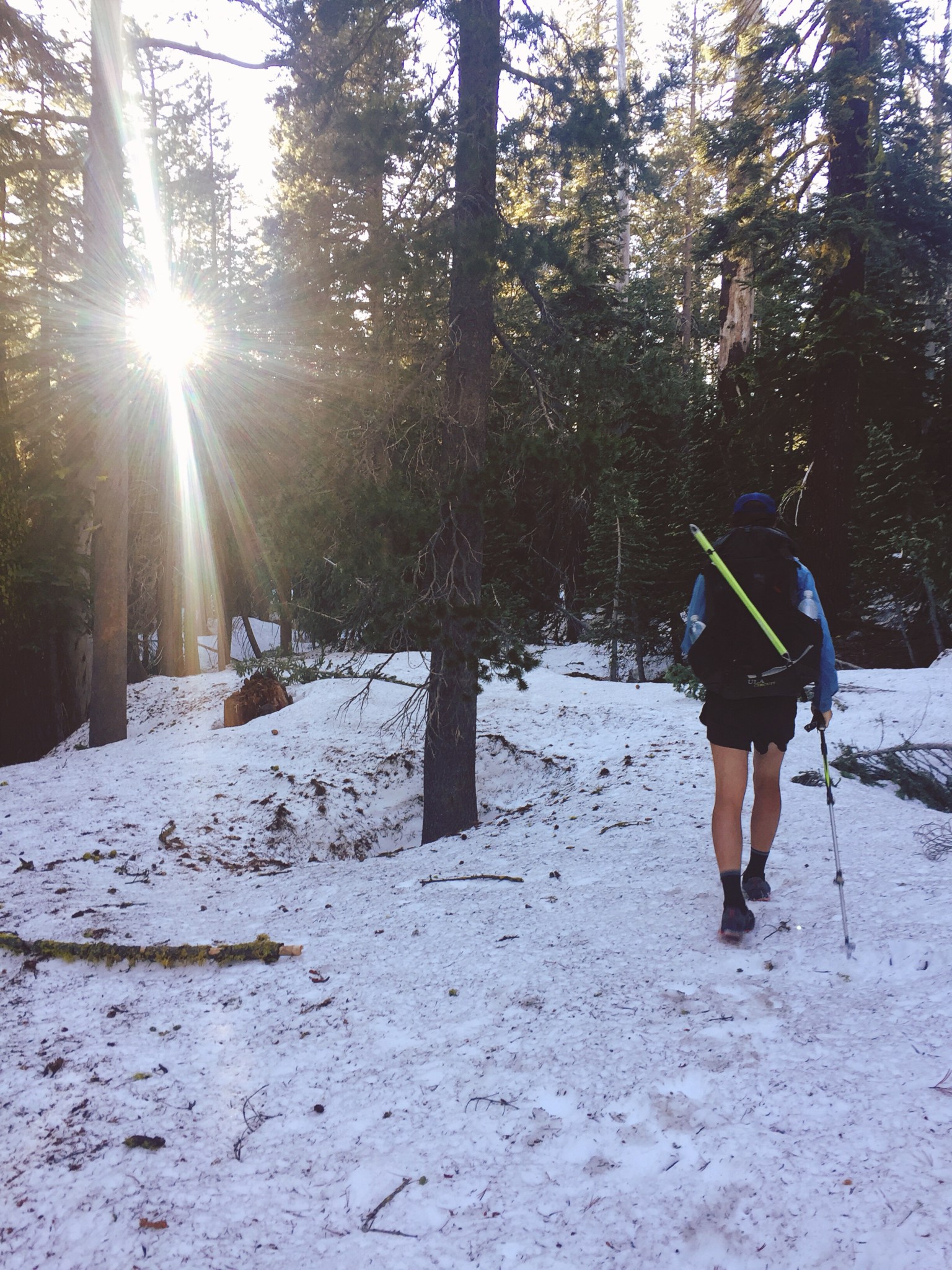 PEAKED CURIOSITY | inspired by higher ground