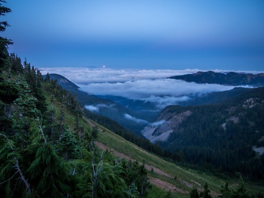 PEAKED CURIOSITY | inspired by higher ground